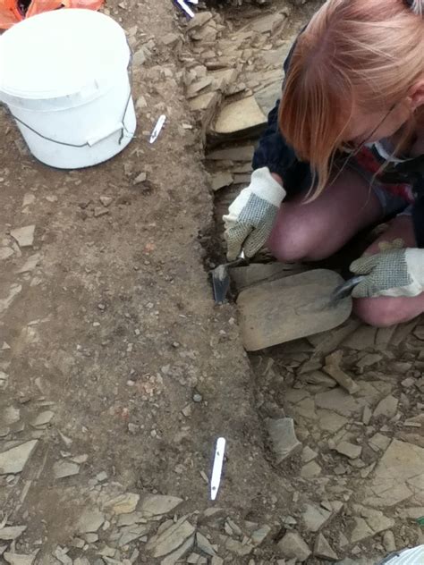 How To Take Soil Samples Ipplepen Archaeological Project