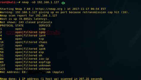 Network Scanning Using Nmap Beginner Guide