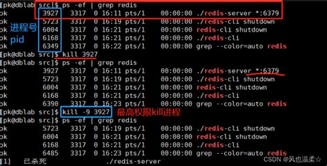 redis安装以及resp连接redis服务器 csdn博客