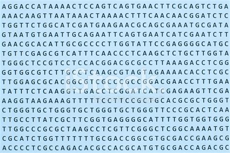 Dna Nucleotide Sequence Stock Photo Royalty Free Images FreeImages