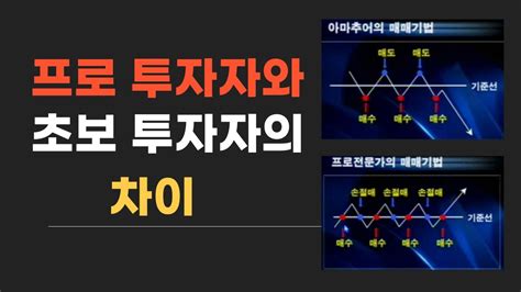 프로투자자와 초보투자자와 차이 Youtube