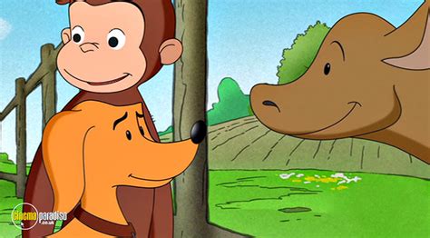 Cinema Paradiso 4k Blu Ray Blu Ray And Dvd Rental Service