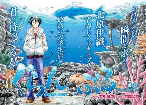 Diving Dan Harem Grand Blue Dreaming Diangkat Menjadi Anime Tv Kaori Nusantara