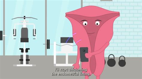 Ovarian Cycle Animation