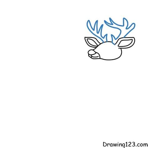 Stap 5 Teken De Ogen Van Het Hert