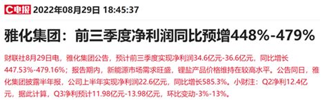 同比最高预增近5倍300亿锂盐龙头三季报预告出炉锂精矿价格上涨对成本端形成负面冲击