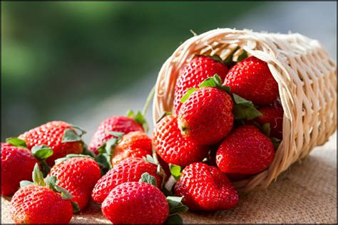 20 Proven Health Benefits Of Strawberry Health Tips
