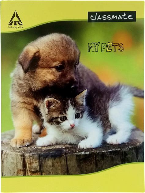 Classmate Notebook Square 05 Inch 172 Pages Office