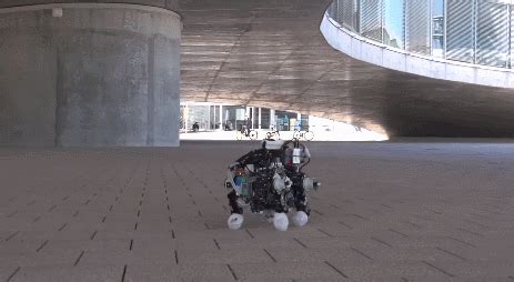 Quadruped Archives Robotic Gizmos