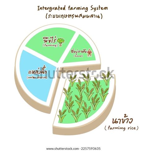 Chart Integrated Farming System Thai Language Stock Vector Royalty