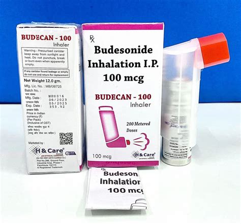Formoterol Fumarate And Budesonide Inhaler 100 Mcg At Rs 35392 In