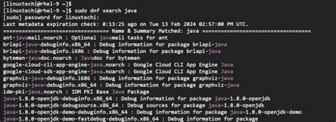 how to install java on rhel 9 step by step