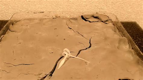 3d Printed Seed Robot Capable Of Exploring The Soil Based On Moisture