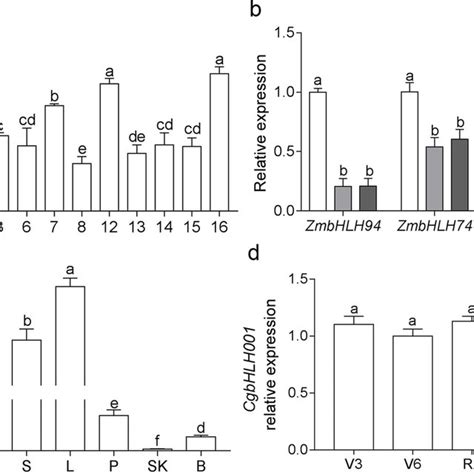 The Qrt Pcr Analyses Of The Transcriptional Level Of Maize Transgenic Download Scientific