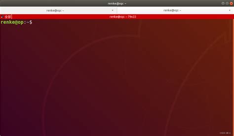 ubuntu 系统终端分屏工具 terminator安装和使用教程 终端分屏软件terminator自定义 csdn博客