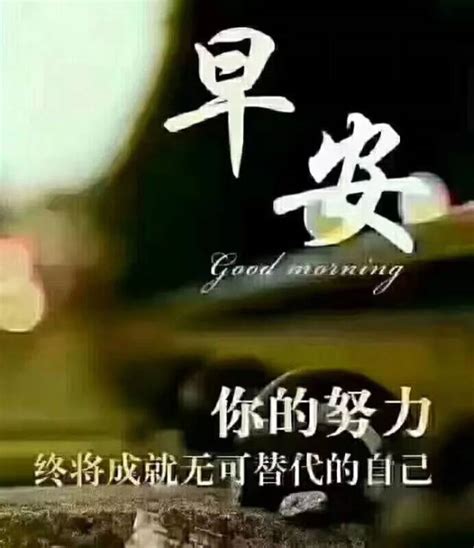 退网的图片带字 勿扰头像 本人已图片 第2页 大山谷图库