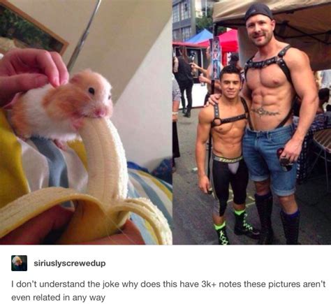 Times All Of Tumblr Had Dirty Dirty Minds