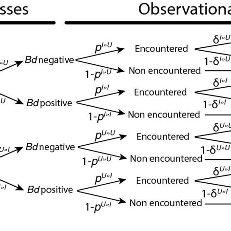 Diagram Showing The Model Pattern Used In The Analysis Of Encounter