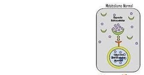 과체중·비만 청소년 이 병 조심해야