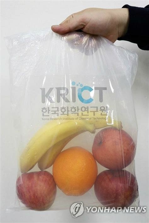 [팩트체크] 플라스틱 쓰레기문제 풀 새해법 효과있나 노컷뉴스