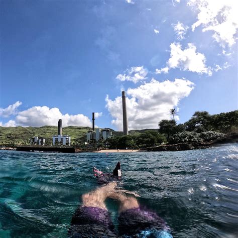 Dan Schatzeder Medium