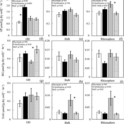 Long Term N Fertilization Shifted Enzyme Profiles Of Am And Ecm Organic