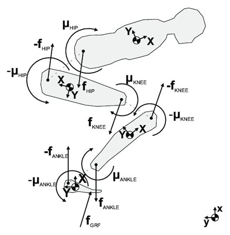 recursive newton euler inverse dynamics model of a ski jumper the
