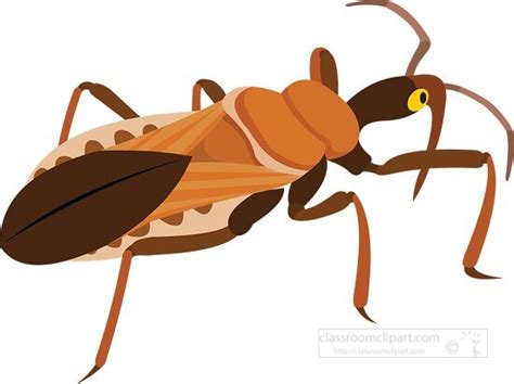 Assassin Bug Insect Clipart Classroom Clipart