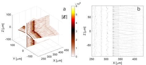 Synthetic Proton Radiographs Calculated From The Pic Simulations A