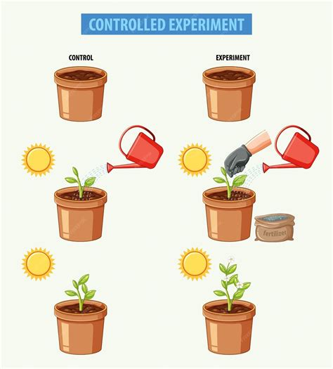 Premium Vector Scientific Test Biology Education Through Controlled