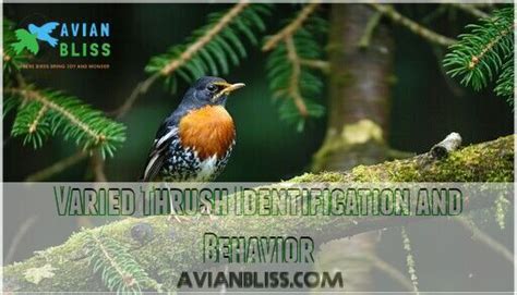 Birds With Speckled Breasts Complete Id Guide With Photos 2025