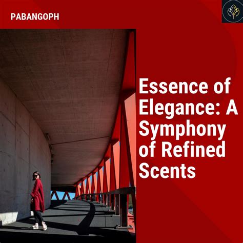 Essence Of Elegance A Symphony Of Refined Scents Pabangoph