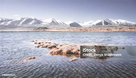 높은 산의 풍경 호수와 산속의 강이 산을 배경으로 초원 사이의 산 계곡에 흐르는 파노라마 파미르 산맥 배경의 풍경 0명에 대한 스톡 사진 및 기타 이미지 Istock