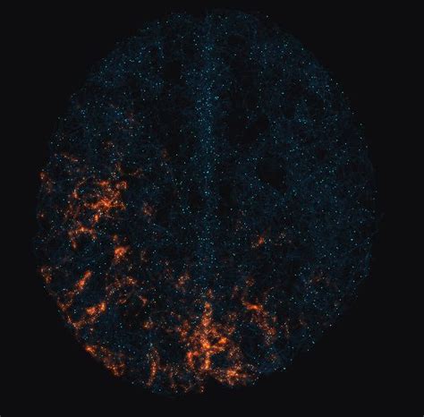 Awesome Neural Network Activation Visualization