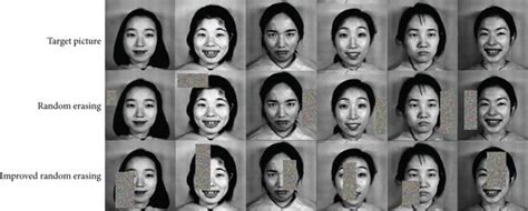 Comparison Chart Of The Random Erasing Experiment Download