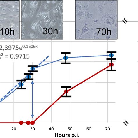 rmva m1 v5 production by cytometry based rggsm a download