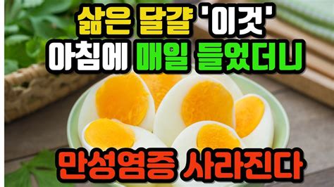 달걀 계란을 식사 전 매일 2개씩 먹었더니 몸안에 이것들이 싹 사라졌습니다 Youtube