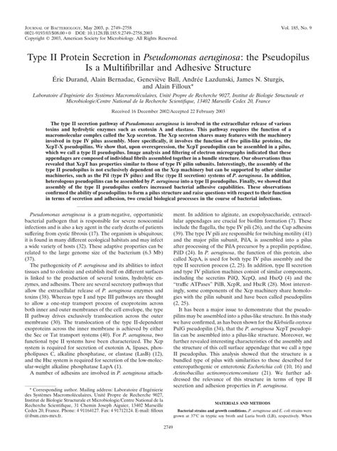 Pdf Type Ii Protein Secretion In Pseudomonas Aeruginosa The Pseudopilus Is A Multifibrillar