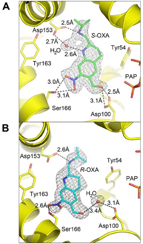 A Composite Omit Map 2mf O Df C Calculated For The Download Scientific Diagram