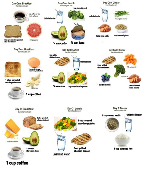 Military Diet Printable