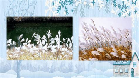 21芦花鞋 课件 共31张PPT 21世纪教育网 二一教育
