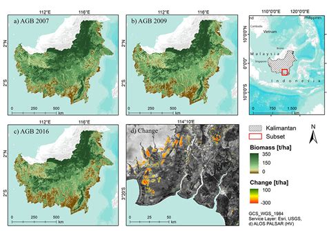 Mapping Global Forest Biomass Using Satellite Imagery