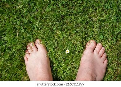 Daisy Feet Images Stock Photos Vectors Shutterstock
