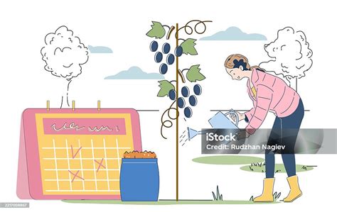 수확 관개 개념 물을 가진 여자는 새싹 근처에 할 수 있습니다 농업 및 농업 원예 농장이나 정원에 있는 어린 소녀 선형 벡터 일러스트레이션 관개 장비에 대한 스톡 벡터 아트