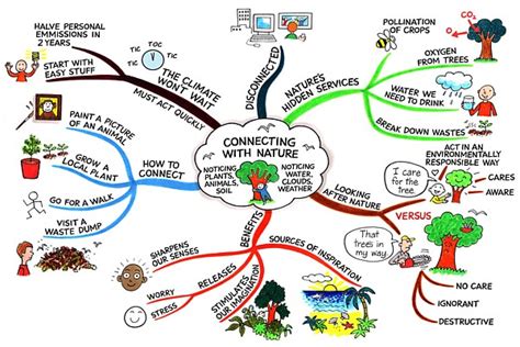 Nature Connections Mind Map Art