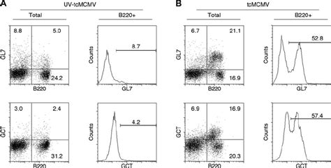 Key Cell Surface Markers Of Gc Cells Are Present On B Cells Obtained Download Scientific
