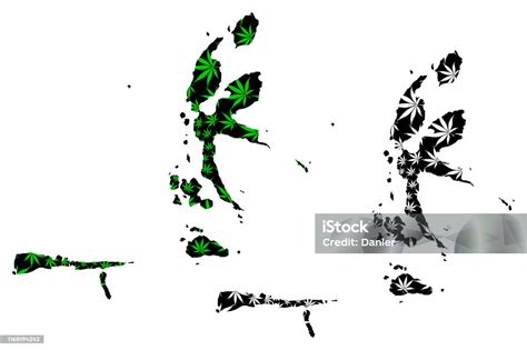 노스 말루쿠 단풍으로 만든 대마초 잎 녹색과 검은 색 말루쿠 우타라지도를 설계 0명에 대한 스톡 벡터 아트 및 기타 이미지 Istock