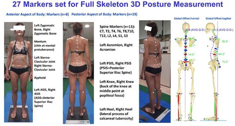 Example Of Marker Sets For Posture And Full Skeleton Reconstruction Download Scientific