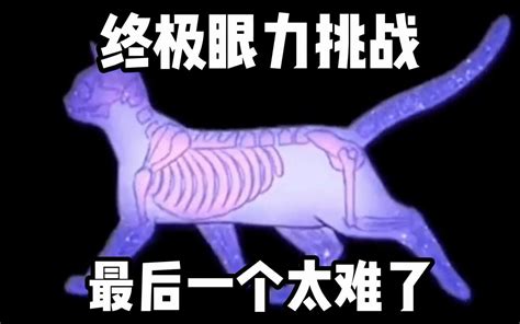 眼力大挑战最后一个太难了你能挑战成功吗 哔哩哔哩