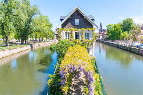 프랑스여행 동화 같은 알자스 마을 스트라스부르 콜마르 리크위르